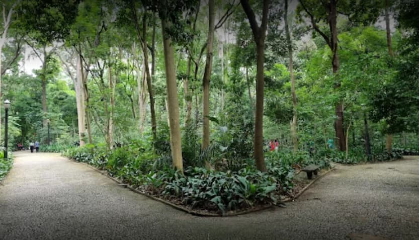 O que tem no Museu de Arte de São Paulo (MASP) de São Paulo? - Lugares ...