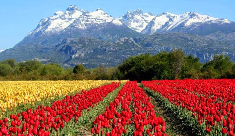 Qual a melhor época para ir para Bariloche? - Argentina - Viajantes Net