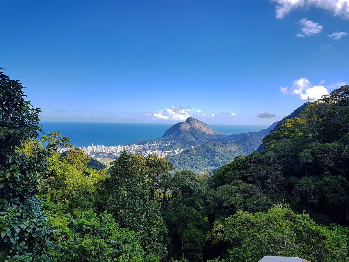 O que fazer no Parque Nacional da Tijuca, Rio de Janeiro? - Rio de ...